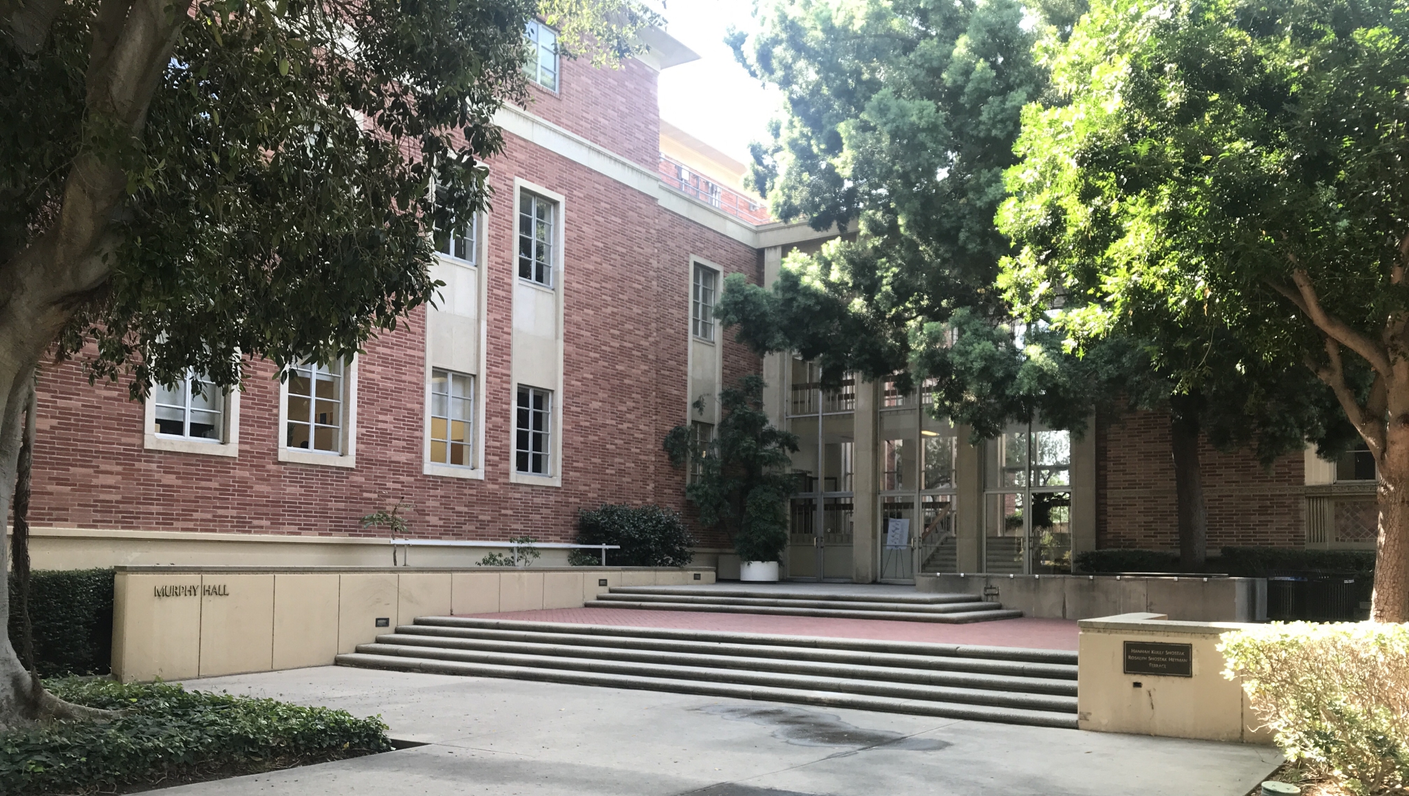 Counseling & Advising – UCLA Honors Programs