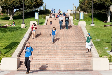 College Scholars – UCLA Honors Programs